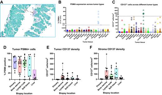 CB307: A Dual Targeting Costimulatory Humabody VH Therapeutic for ...