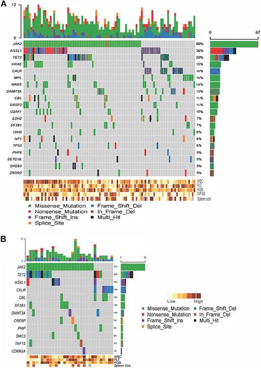 Broad Next-Generation Integrated Sequencing of Myelofibrosis Identifies ...