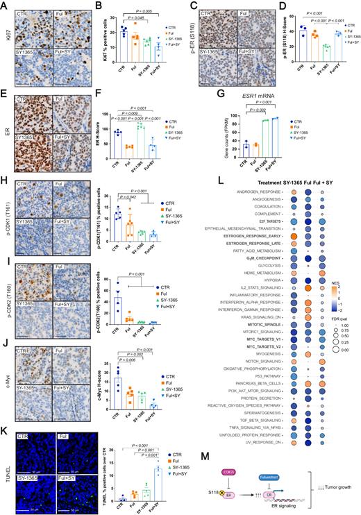Selective CDK7 Inhibition Suppresses Cell Cycle Progression and MYC ...