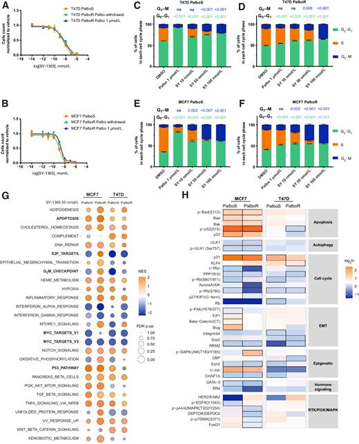 Selective CDK7 Inhibition Suppresses Cell Cycle Progression and MYC ...
