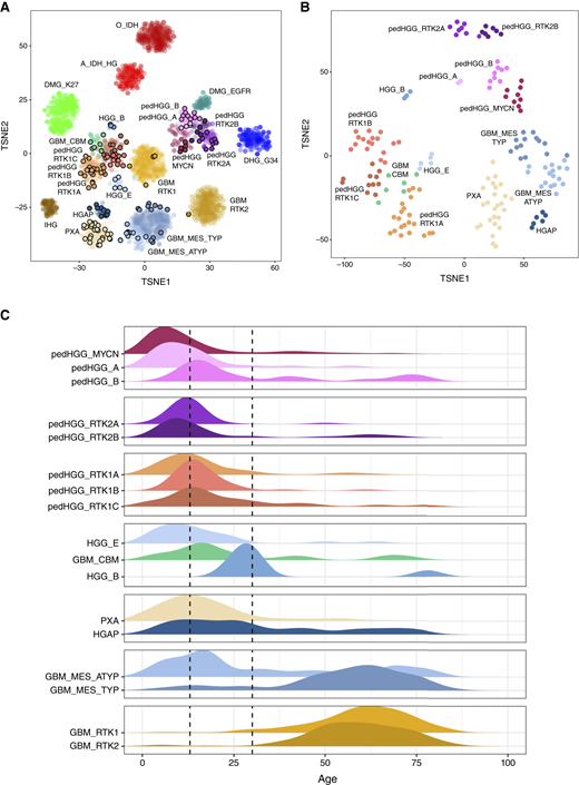 The Spectrum of IDH- and H3-Wildtype High-Grade Glioma Subgroups ...