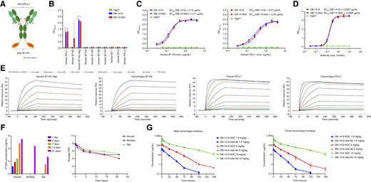 Preclinical Evaluation of DB-1419, a Novel Bifunctional and Bispecific ...