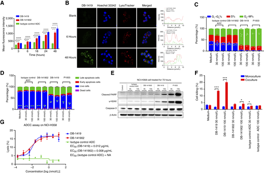 Preclinical Evaluation of DB-1419, a Novel Bifunctional and Bispecific ...