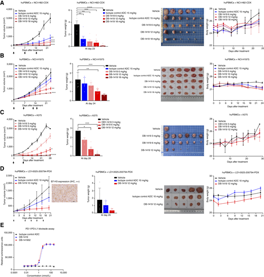 Preclinical Evaluation of DB-1419, a Novel Bifunctional and Bispecific ...
