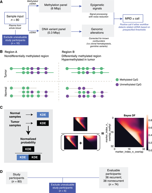 A Tumor-Naïve ctDNA Assay Detects Minimal Residual Disease in Resected ...