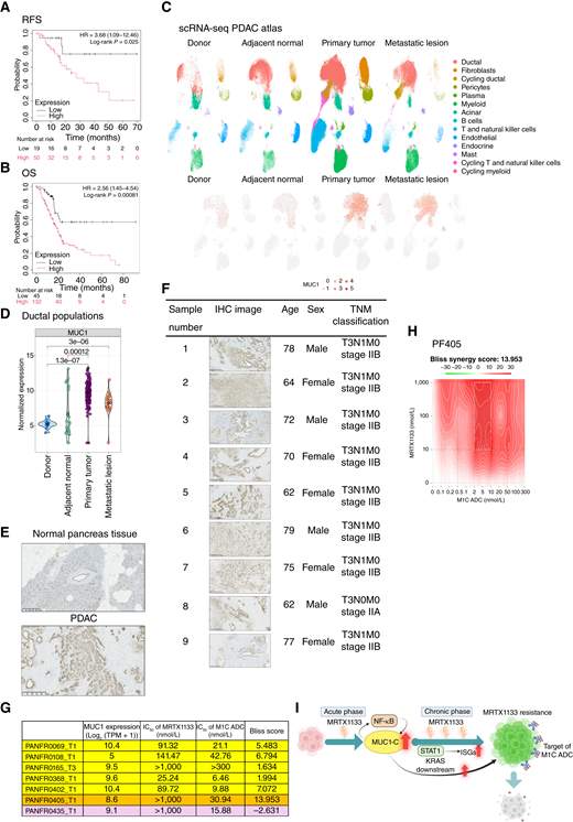 Targeting KRAS Inhibitor–Resistant Pancreatic Cancer with an MUC1-C ...