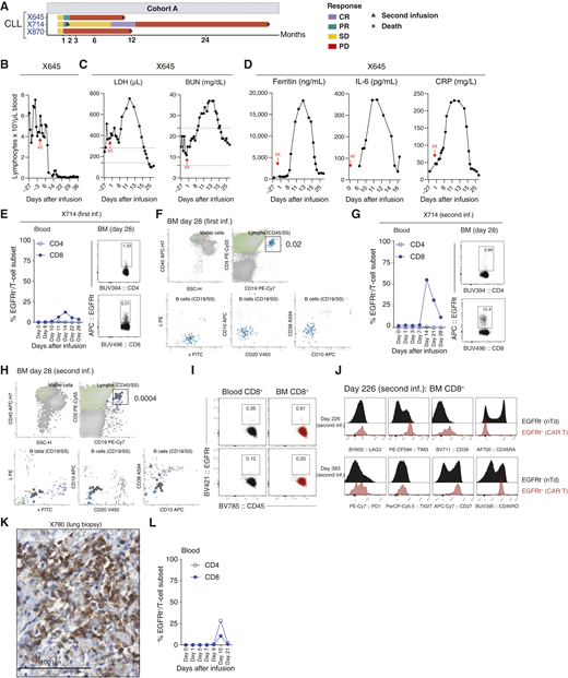 Phase I Study of ROR1-Specific CAR-T Cells in Advanced Hematopoietic ...