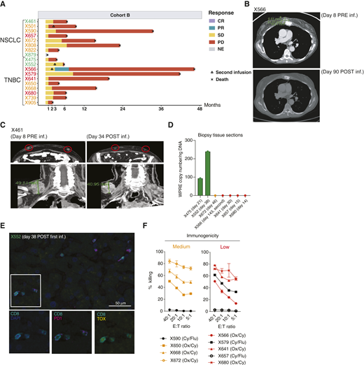 Phase I Study of ROR1-Specific CAR-T Cells in Advanced Hematopoietic ...