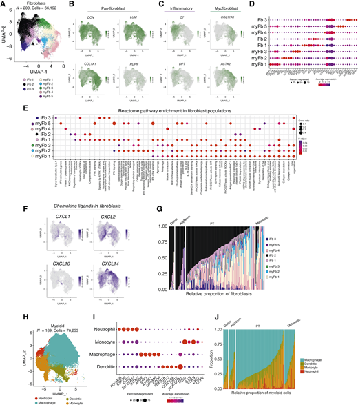 Human Pancreatic Cancer Single-Cell Atlas Reveals Association of CXCL10 ...