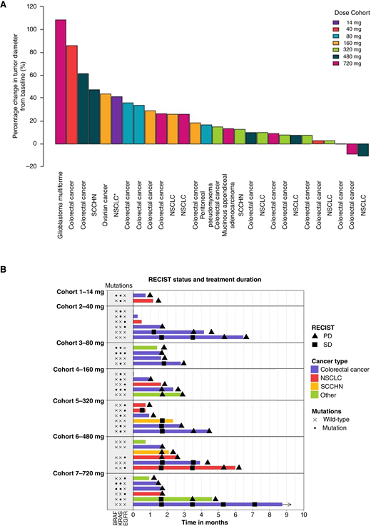 First-in-Human Phase I Study of a CD16A Bispecific Innate Cell Engager ...