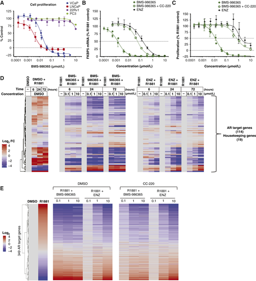 Discovery of BMS-986365, a First-in-Class Dual Androgen Receptor Ligand ...