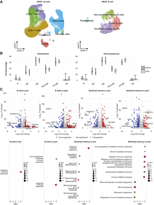 Decoding B-cell Signatures of Complete Pathologic Response to ...