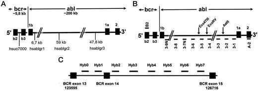 Long-Template DNA Polymerase Chain Reaction for the Detection of the ...