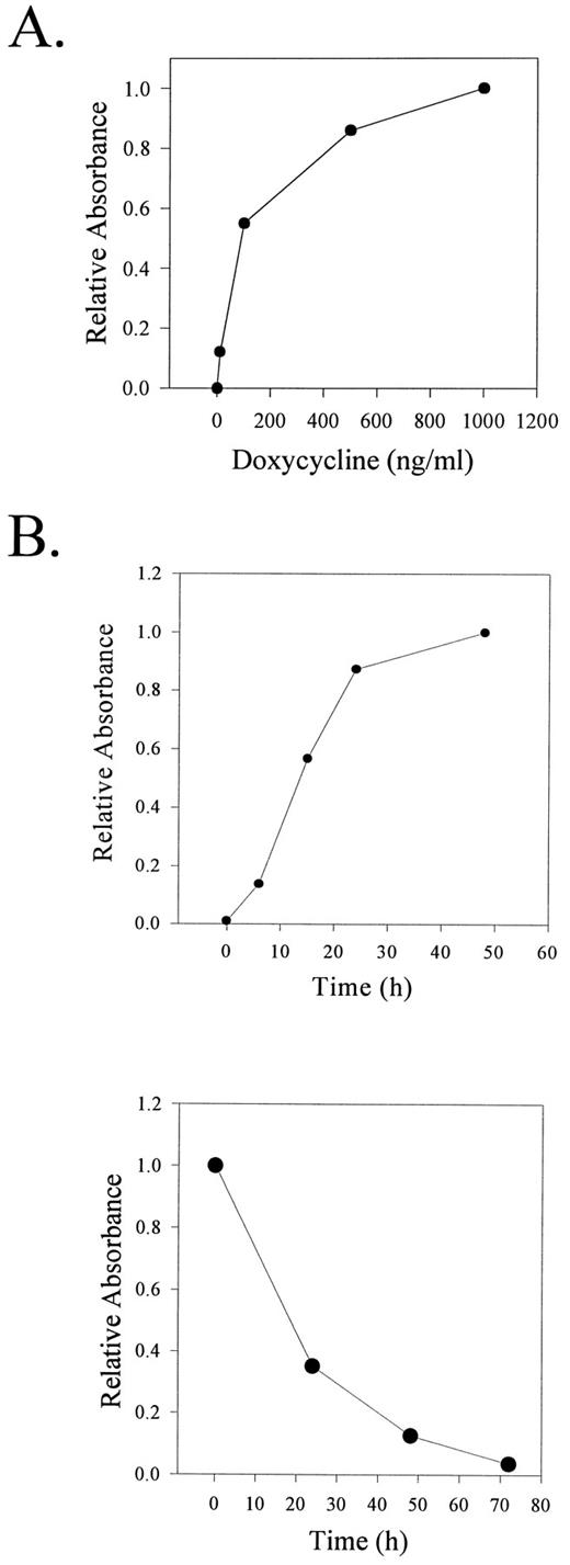 The Inducible Expression of Dominant-Negative Epidermal Growth Factor ...