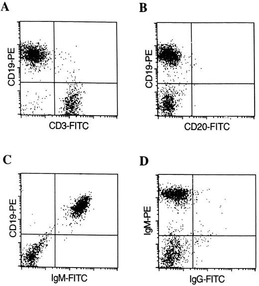 Therapy of B-Cell Lymphoma with Anti-CD20 Antibodies Can Result in the ...