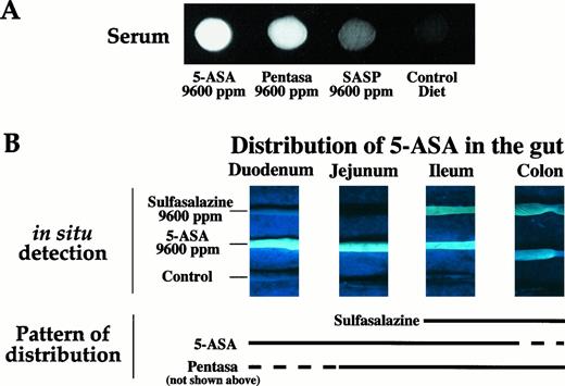 Evaluation of 5-Aminosalicylic Acid (5-ASA) for Cancer Chemoprevention ...