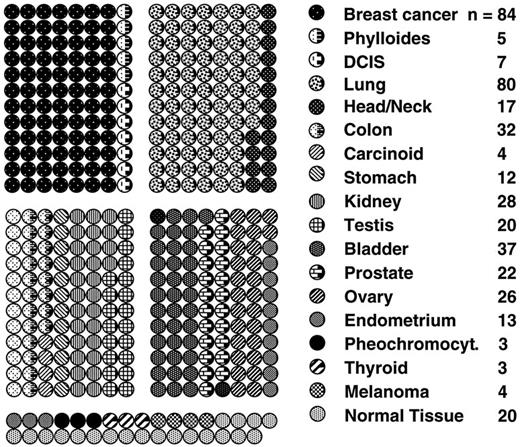Tissue Microarrays for Gene Amplification Surveys in Many Different ...