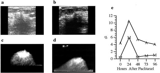 Paclitaxel-induced Apoptosis and Mitotic Arrest Assessed by Serial Fine ...