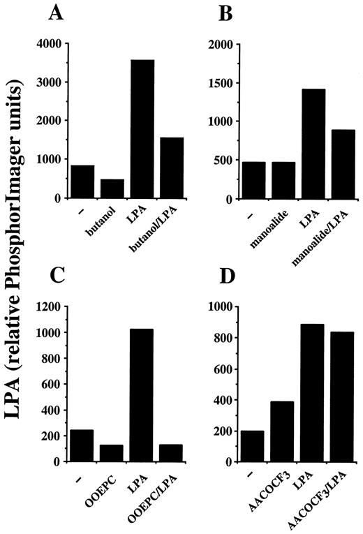 Constitutive and Lysophosphatidic Acid (LPA)-induced LPA Production ...