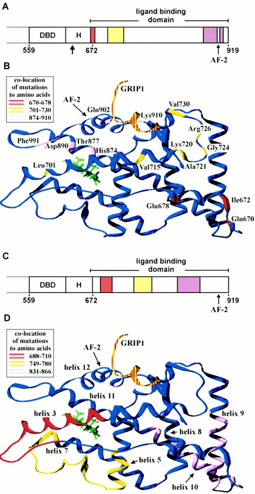 Collocation of Androgen Receptor Gene Mutations in Prostate Cancer1 ...