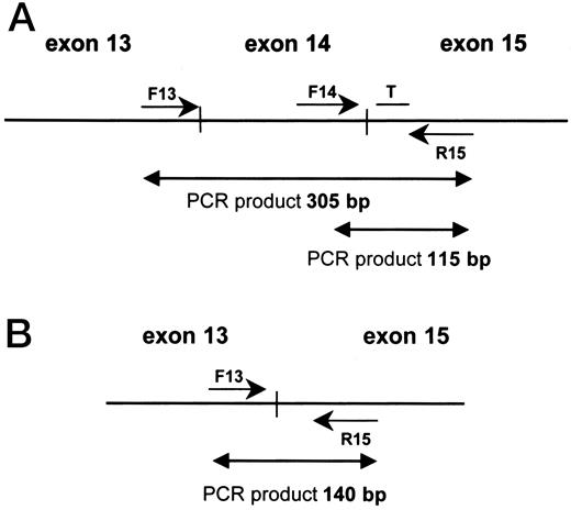 Prevalence of a Common Point Mutation in the Dihydropyrimidine ...
