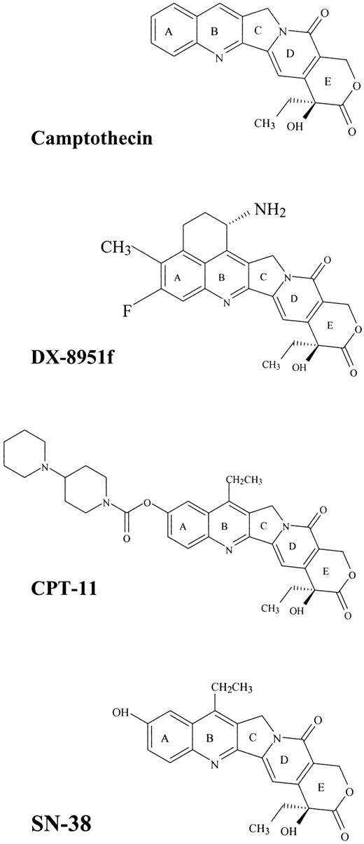 Phase I and Pharmacokinetic Study of DX-8951f (Exatecan Mesylate), a ...