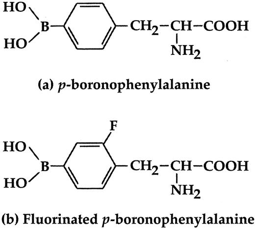 Imaging of Fluorine and Boron from Fluorinated Boronophenylalanine in ...