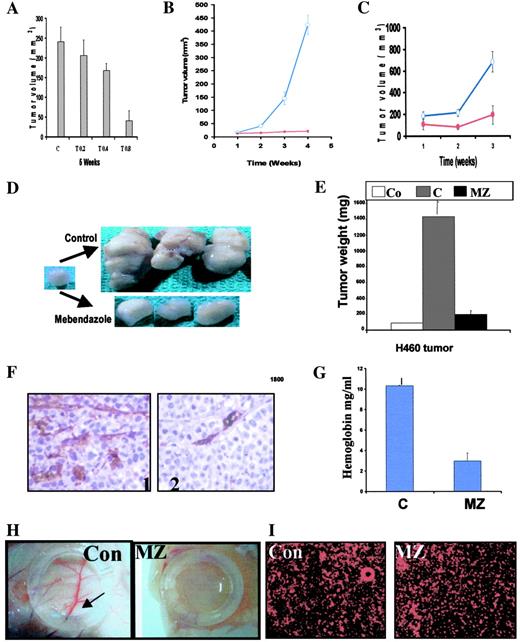 Mebendazole Elicits a Potent Antitumor Effect on Human Cancer Cell ...
