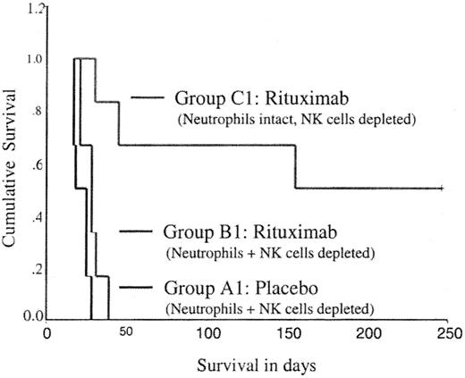 Neutrophils Contribute to the Biological Antitumor Activity of ...