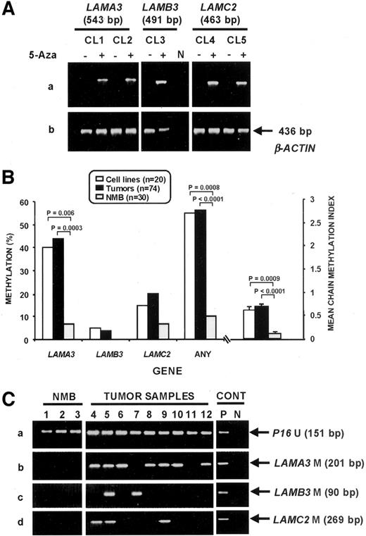 Aberrant Promoter Methylation and Silencing of Laminin-5-Encoding Genes ...