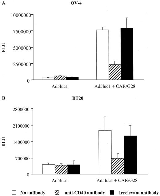 CD40 Is Expressed on Ovarian Cancer Cells and Can Be Utilized for ...