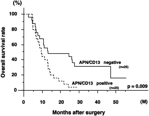 Clinical Significance of Aminopeptidase N/CD13 Expression in Human ...