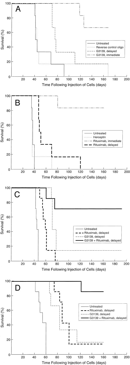 Bcl-2 Antisense (G3139, Genasense) Enhances the in Vitro and in Vivo ...