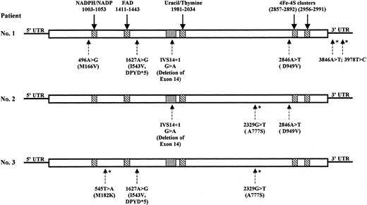 Denaturing High Performance Liquid Chromatography Analysis of the DPYD ...