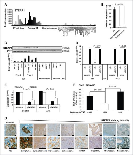 STEAP1 Is Associated with the Invasive and Oxidative Stress Phenotype ...