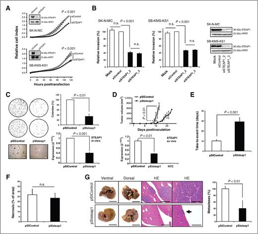 STEAP1 Is Associated with the Invasive and Oxidative Stress Phenotype ...