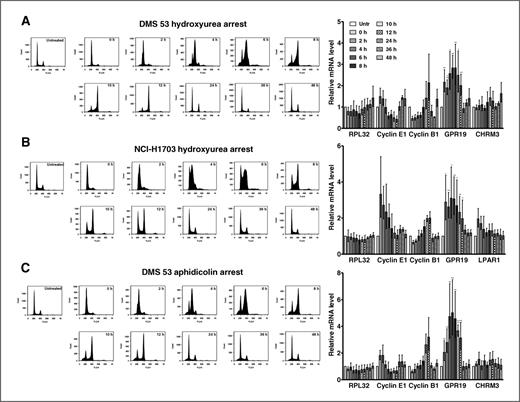 Expression of G Protein-Coupled Receptor 19 in Human Lung Cancer Cells ...