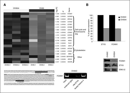 Analysis of Gene Expression Regulated by the ETV5 Transcription Factor ...