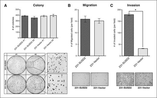 Multiple Functions of Sushi Domain Containing 2 (SUSD2) in Breast ...