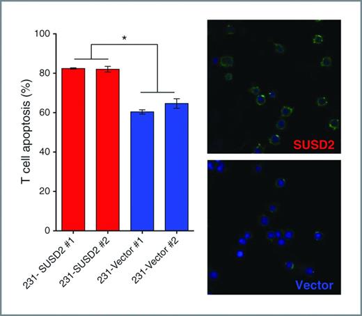 Multiple Functions of Sushi Domain Containing 2 (SUSD2) in Breast ...