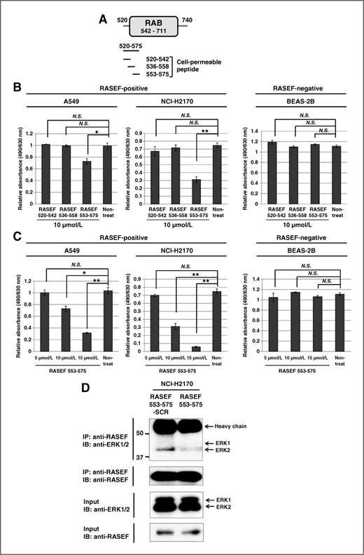 RASEF is a Novel Diagnostic Biomarker and a Therapeutic Target for Lung ...