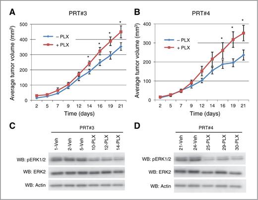 Beneficial Effects of RAF Inhibitor in Mutant BRAF Splice Variant ...