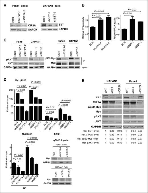 Targeting Inhibitors of the Tumor Suppressor PP2A for the Treatment of ...