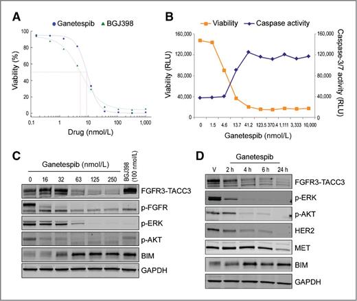 FGFR3 Translocations in Bladder Cancer: Differential Sensitivity to ...