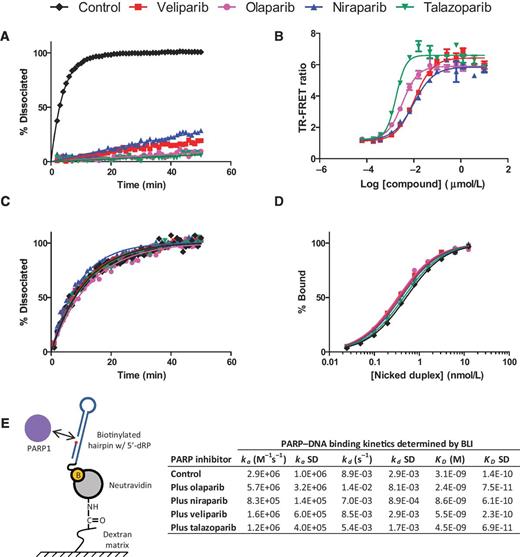 Mechanistic Dissection of PARP1 Trapping and the Impact on In Vivo ...