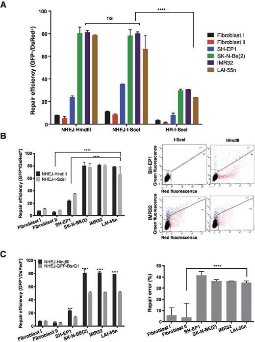 Alternative NHEJ Pathway Components Are Therapeutic Targets in High ...