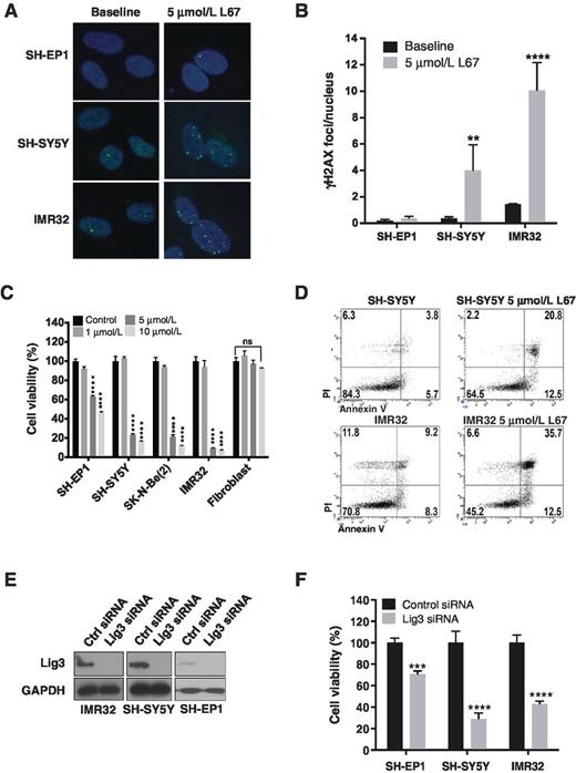 Alternative NHEJ Pathway Components Are Therapeutic Targets in High ...