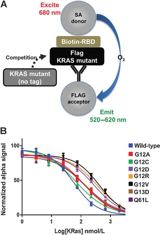 Biochemical and Structural Analysis of Common Cancer-Associated KRAS ...