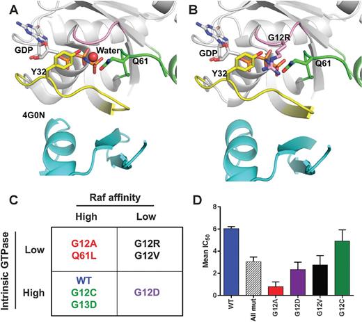 Biochemical and Structural Analysis of Common Cancer-Associated KRAS ...