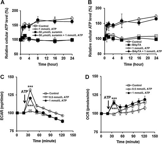Extracellular ATP a New Player in Cancer Metabolism: NSCLC Cells ...
